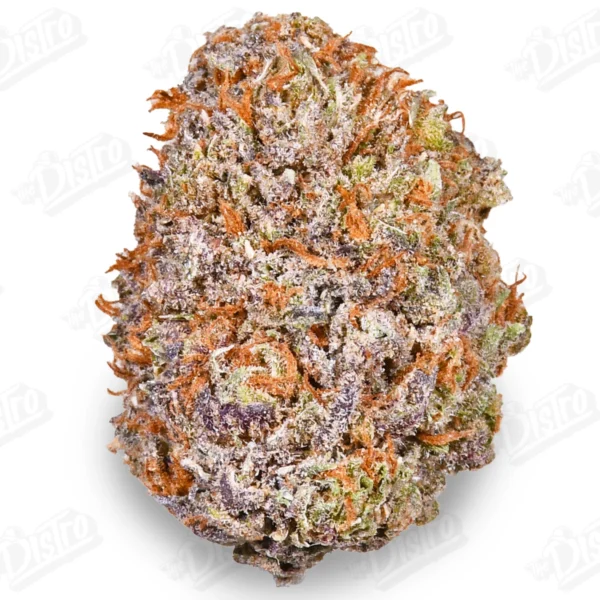 Sherblato Strain (Mids) - The Distro