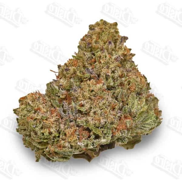 White Wedding (Value) - The Distro