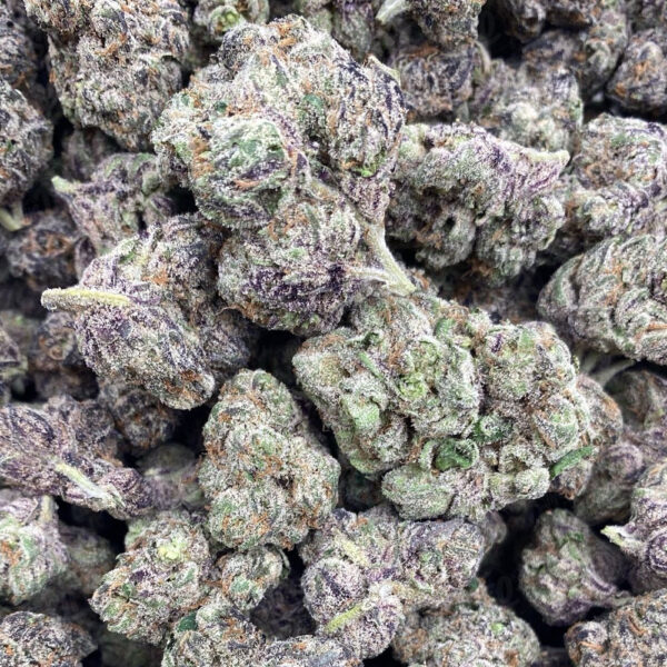 AAA Kings Flower - Fuzumaki - The Distro